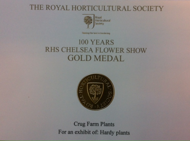 Crûg Farm Nursery - News